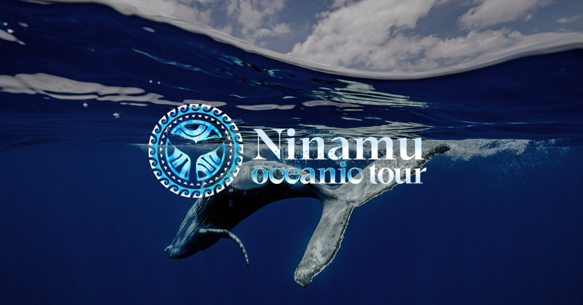 Private boat tours Moorea - Ninamu Oceanic Tour